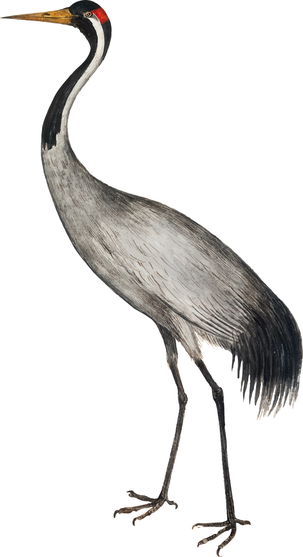 Kranich – Church of God